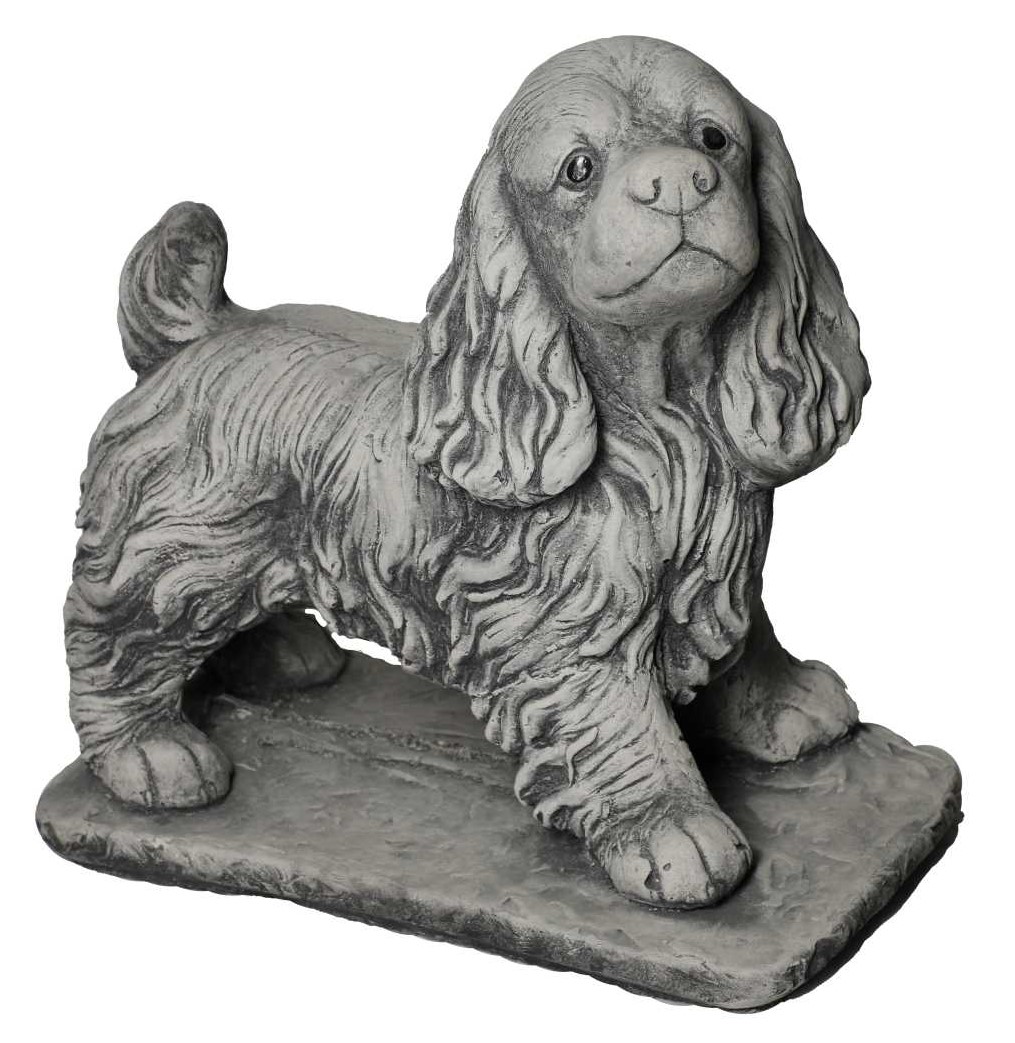 Standing Cocker Spaniel